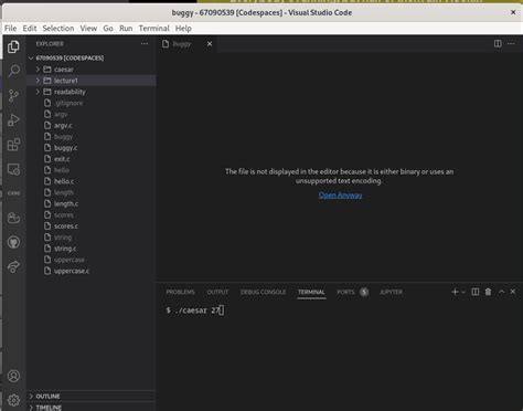 Hide Top Bar In Vscode Rgnome