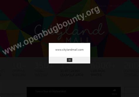 cross site scripting vulnerability obb 2969421 open