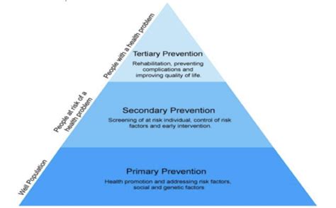 Health Wellness And Health Disparities Flashcards Quizlet