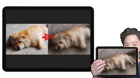 강아지 그리기 꿀팁 시고르자브종 털 쉽게 그리는 방법 아이패드 프로크리에이트 Youtube