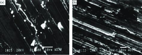 Sem Images Worn Out Surface For A The Composite Coatings B 1045 Download Scientific