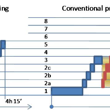 Gantt Representation Of Two Processes Download Scientific Diagram