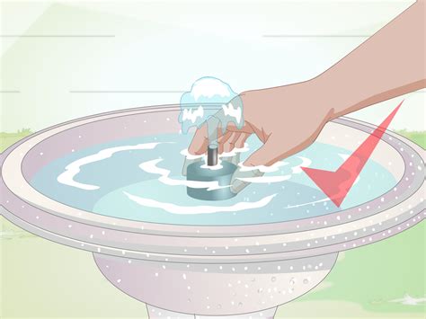 3 Ways To Keep Algae From Growing In Bird Bath Wikihow