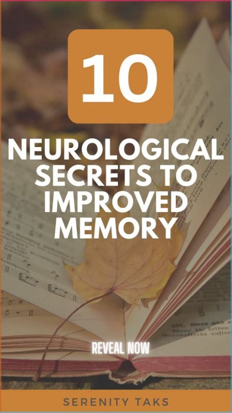Unlock Your Memory Potential With Neurological Secrets Improve Memory