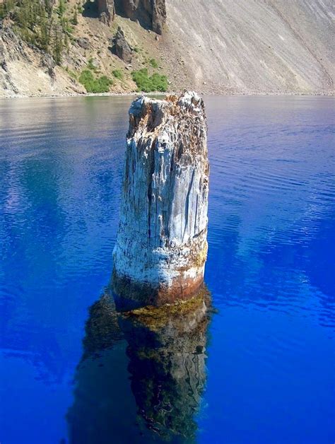 The Old Man Of The Lake Amusing Planet