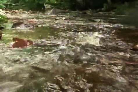 Butt Naked Hike To Morgan Falls