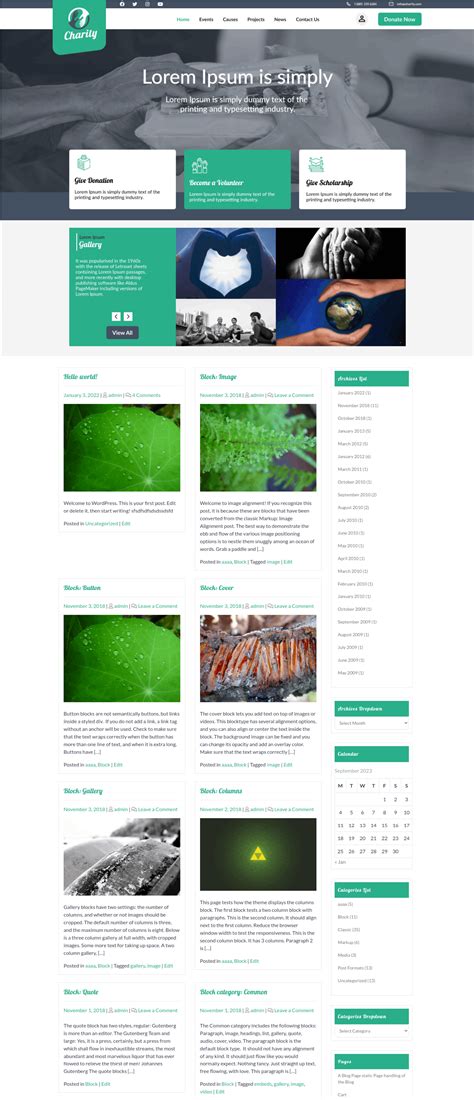 Free Foundation Wordpress Theme Solid And Professional Design Themagnifico