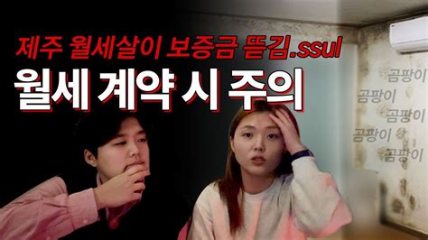 제주살이 집 구하기 월세 계약 주의월세 보증금 뜯긴 썰 Youtube