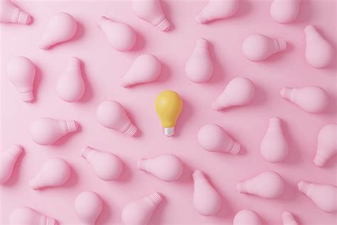 Grundlagen der Public Relations (PR): Definition & Beispiele