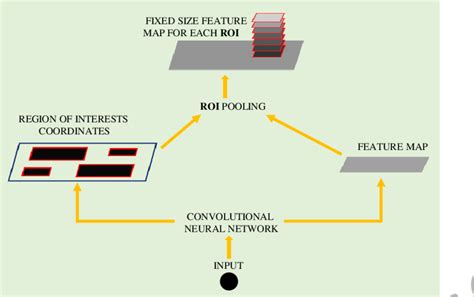 region of interest roi pooling download scientific diagram