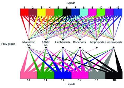 Potential Prey Contribution To The Beak Tissue Of Squid 1