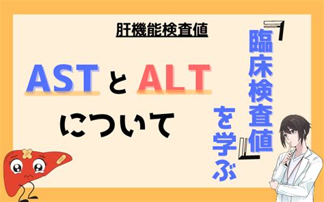 【臨床検査値】肝機能検査値のastとaltの違いは？ 薬剤師の気まぐれノート