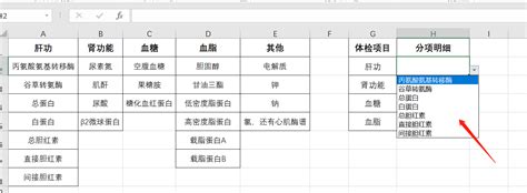 excel使用indirect函数制作二级下拉菜单 正数办公