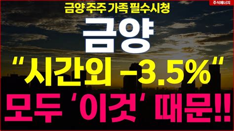 금양 시간외 35 모두 이것 때문 금양 주주 가족 필수시청 Youtube