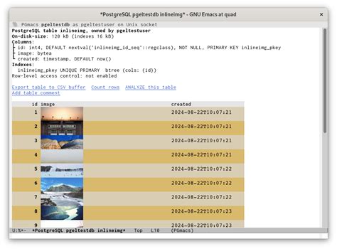 Customizing Column Display Using Pgmacs