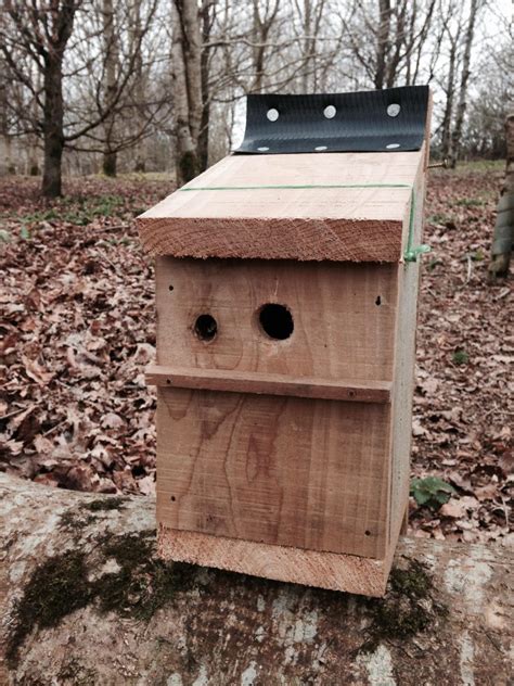 How To Make A Bird Box And Other Thoughts Elby Brown Jewellery