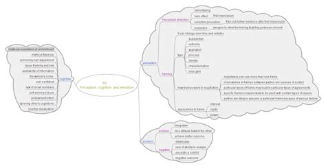 Essential Of Negotiation N05 Perception Cognition And Emotion