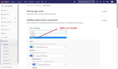 GitLab 如何修改项目从私有到公有 阿里云开发者社区
