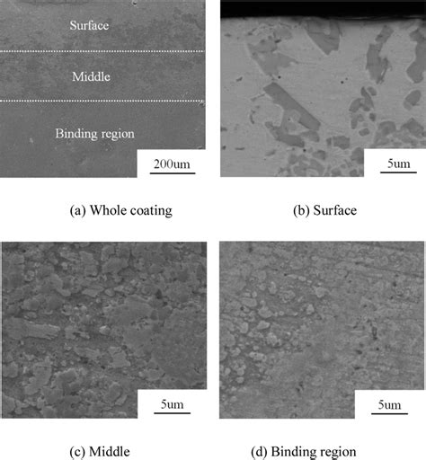 Cross Section Microstructure Morphologies Of Cladding Coating Download Scientific Diagram