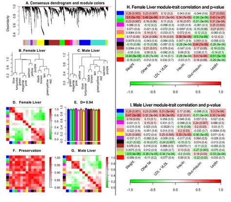 differential eigengene network analysis across female and male mouse