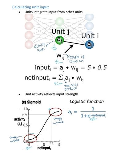 9 Memory 4 Principles Of Connectionist Modelling Flashcards Quizlet