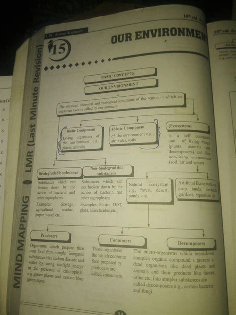 Give Me The Mind Map For The Lesson Our Environment Class 10 Don T