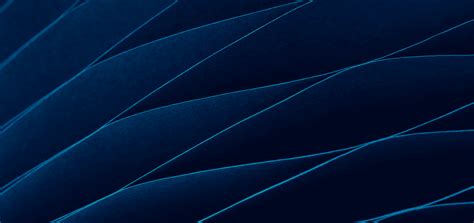 What Is A S166 Review Novatus Global