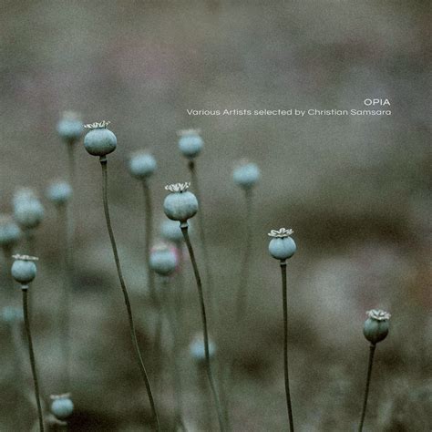 Stream Formant Value Intraverse By Ultimae Listen Online For Free