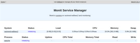 Installing And Configuring ‘monit To Automate Server Monitoring And Maintenance — Racknerd