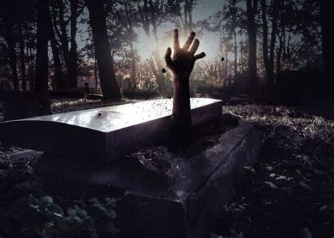 Qual è La Differenza Tra Since E For My English School™