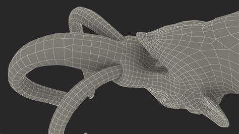 Mammoth Adult Roar Pose Fur 3d Model 179 Max Free3d