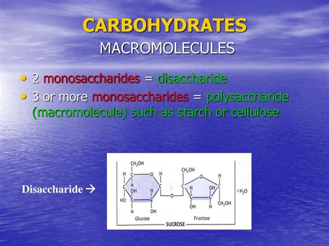 Biochemistry Ii Pp Ppt Download