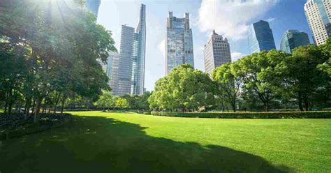 What Is A Greener Community How It Helps Sustainability