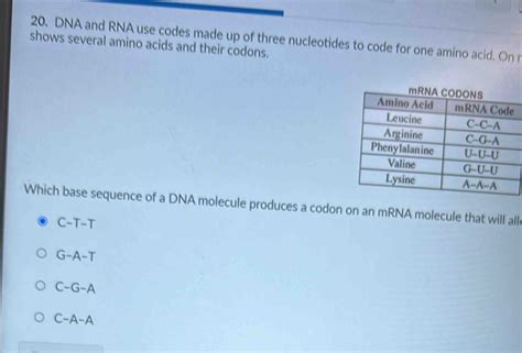 Solved 20 Dna And Rna Use Codes Made Up Of Three Nucleotides To Code For One Amino Acid On R