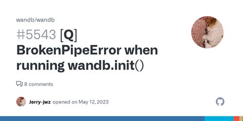 Q Brokenpipeerror When Running It · Issue 5543 · Wandb