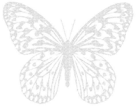 White Animated Butterfly By Kittykatluv65