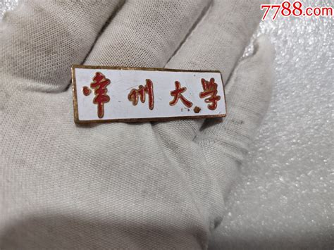 常州大学校徽校徽毕业章忆海撷英【7788商城】
