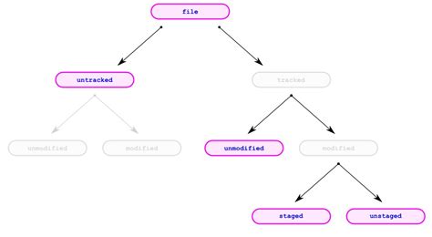 Git When One Adds An Untracked File Does It Not Go To Staged
