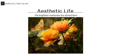 Github Natakraminimalistic Photo Gallery