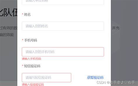 vue 关闭弹框重新打开时element输入框验证规则还在提示 弹窗disable 校验的文字还是在 csdn博客