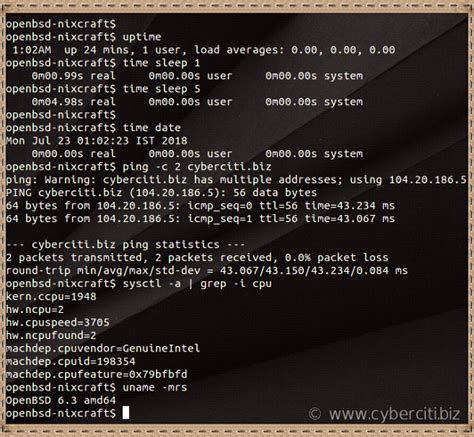 Slow Performance Issues Of Openbsd Or Freebsd Kvm Guest On Linux Nixcraft