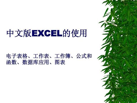 中文版excel的使用 word文档在线阅读与下载 无忧文档