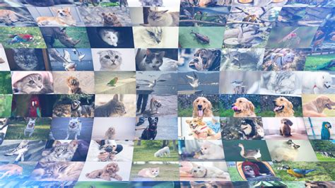 Technological Sense Curved Three Dimensional Photo Wall Logo Title