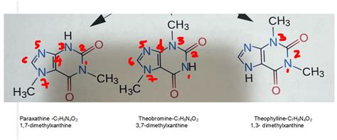 [solved] 4 Isomers And Functional Groups Caffeine Metabolizes In The
