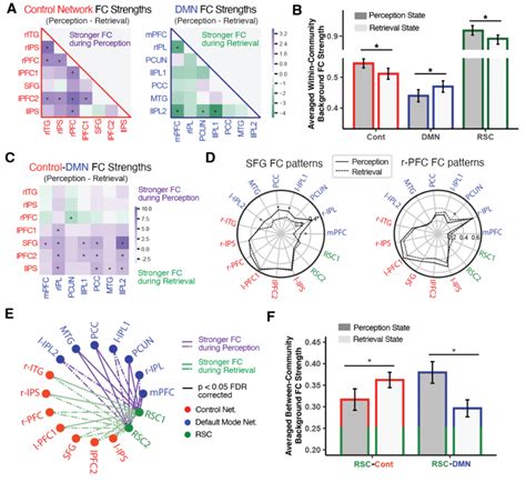 Connectivity Configurations During Perception And Retrieval Cognitive Download Scientific