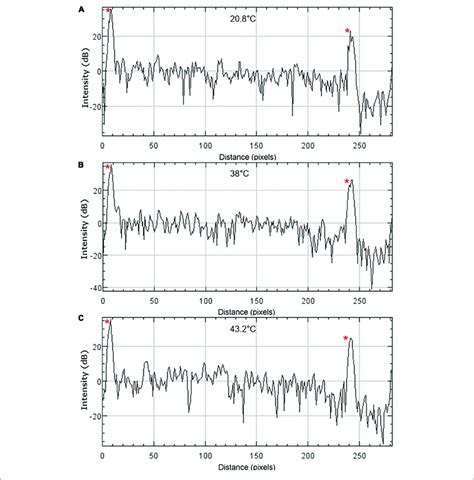 OCT Intensity Profiles Of Nc YSZ Sample At Location E At A C Download Scientific