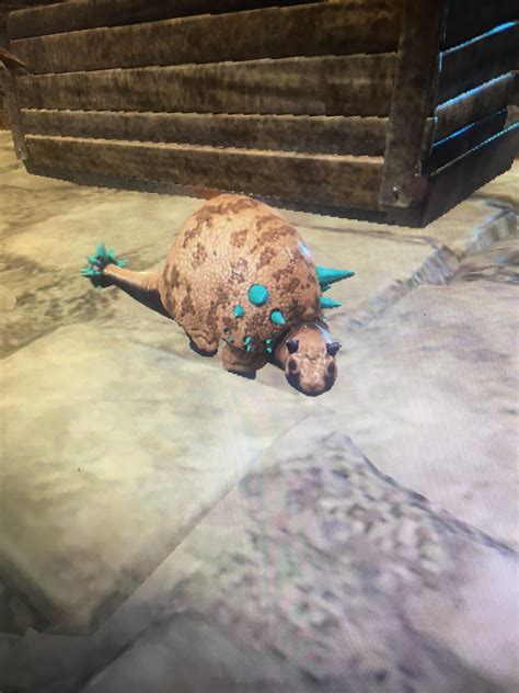 Coolest Color Mutation Yet 😁 R Ark