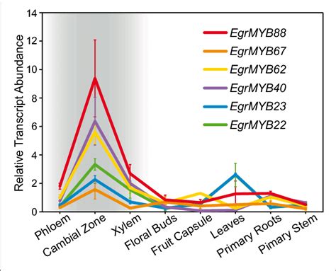 Transcript Abundance Data Of The Different Eucalyptus Genes From