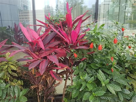 Прогулка по Тель Авиву декабрь 2020 In Es — Livejournal