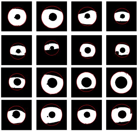 robust iris segmentation algorithm in non cooperative environments